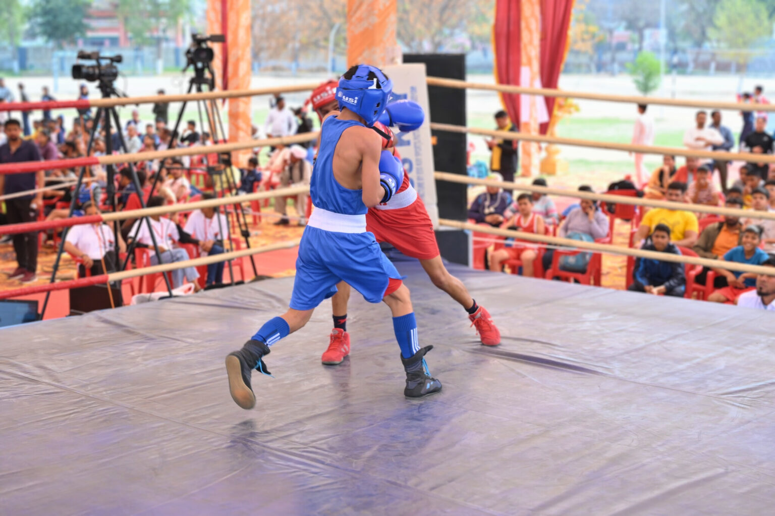 Home - Haryana Boxing Sangh